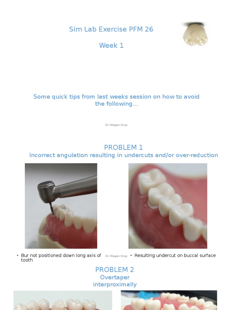 Sim Lab Exercise PFM 26 Week 1 Tips | PDF