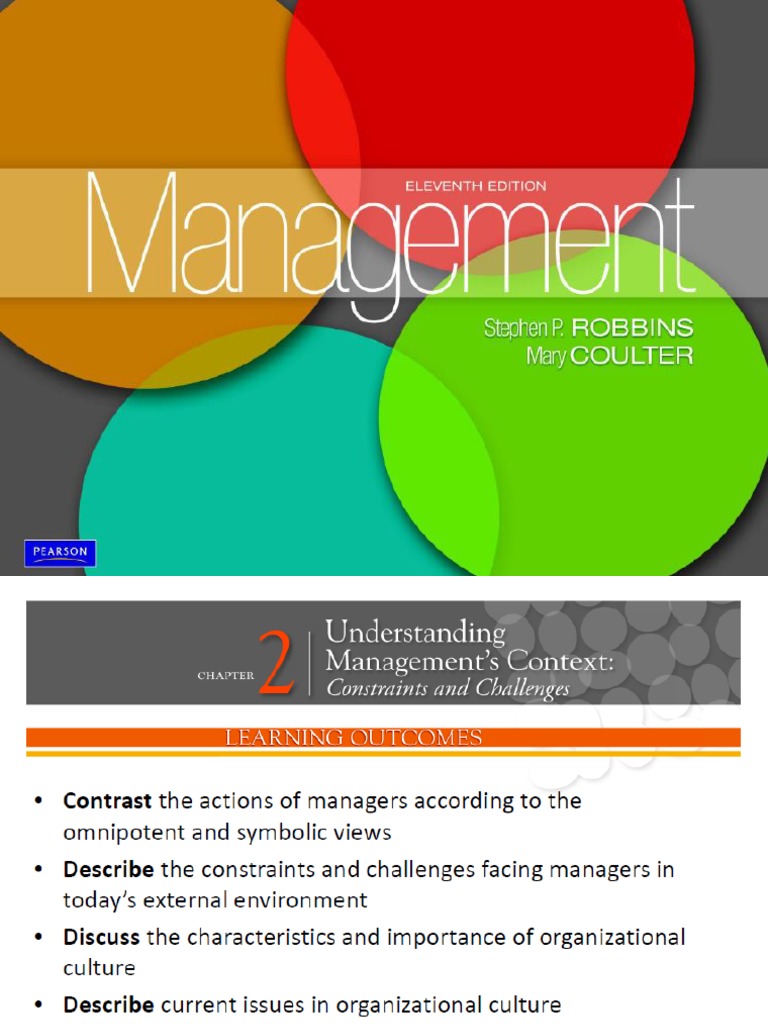 Chapter 3 Constraints Challenges Pdf Organizational Culture