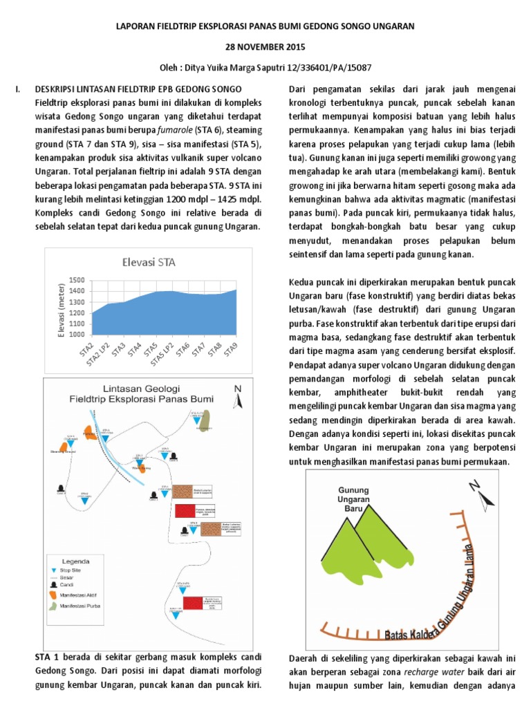 STRATIGRAPHY AND MANIFESTATIONS OF THE GEDONG SONGO GEOTHERMAL SYSTEM | PDF