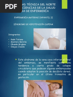 Efecto Poseiro en el Embarazo | PDF | Placenta | Feto