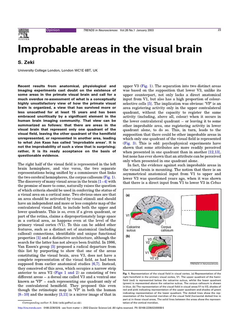 Improbable Areas in The Visual Brain | PDF | Visual Cortex | Vision