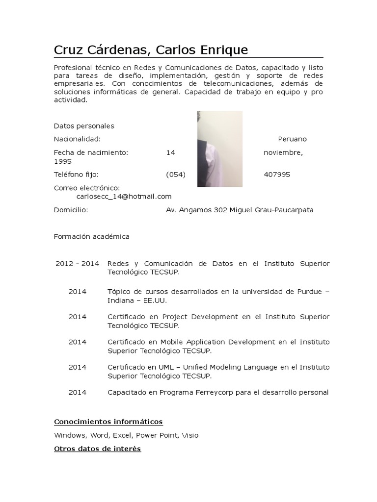 CV - Cruz Cardenas Carlos | PDF