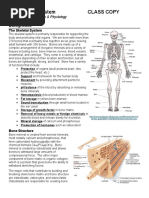 Gummy Bear Lab | PDF | Anatomical Terms Of Location | Animal Physiology