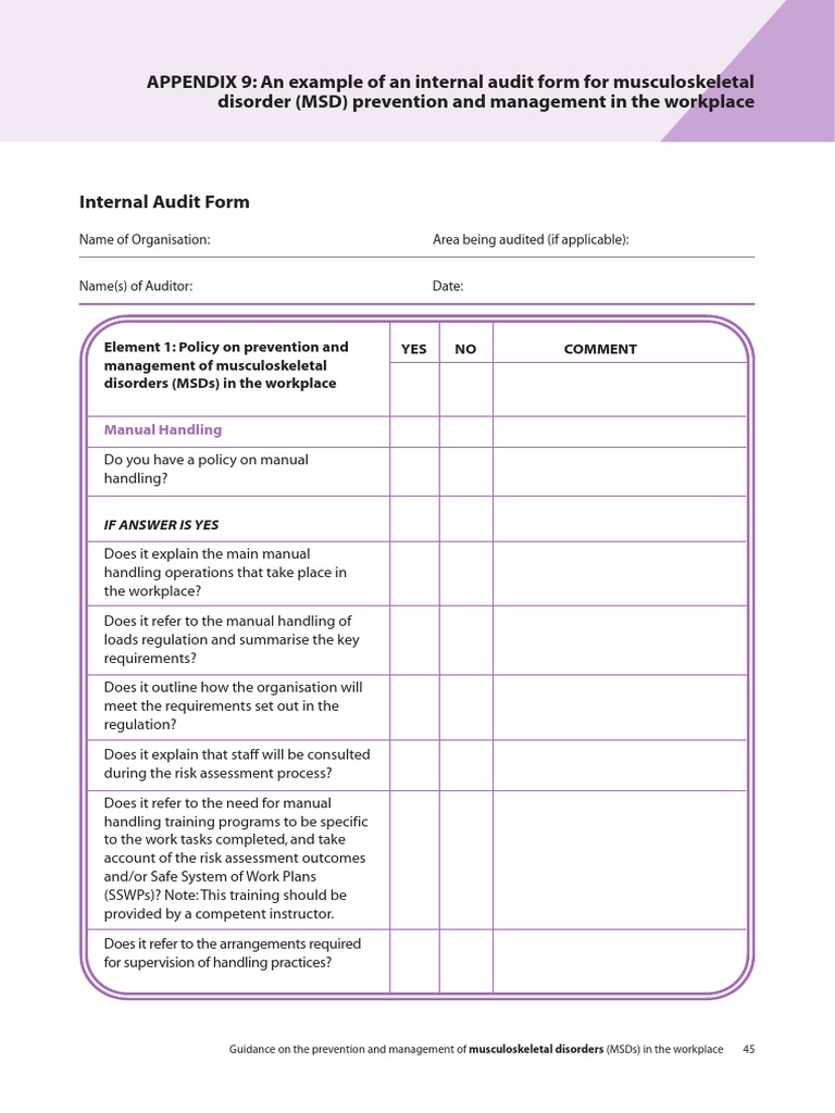 APPENDIX 9: An Example of An Internal Audit Form For Musculoskeletal ...