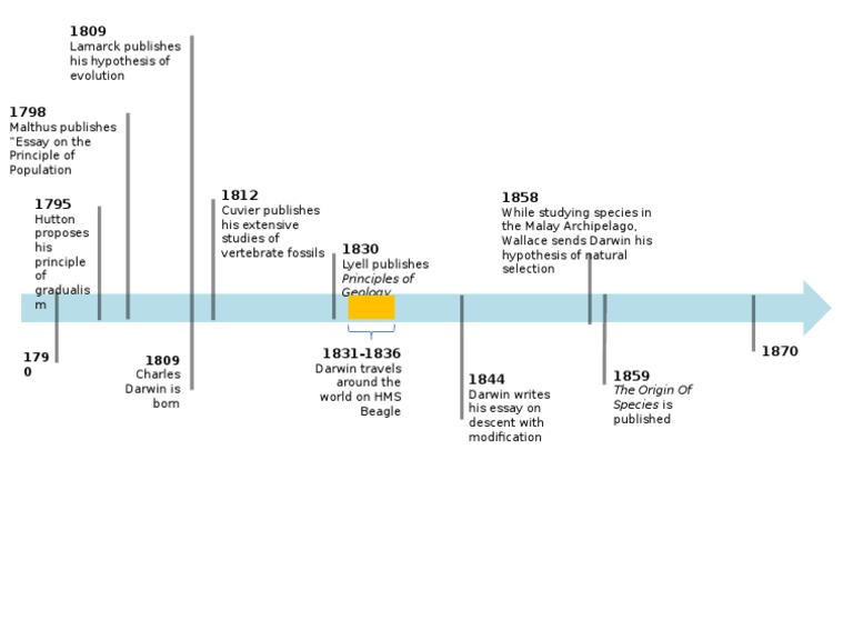 Evolution Timeline | PDF