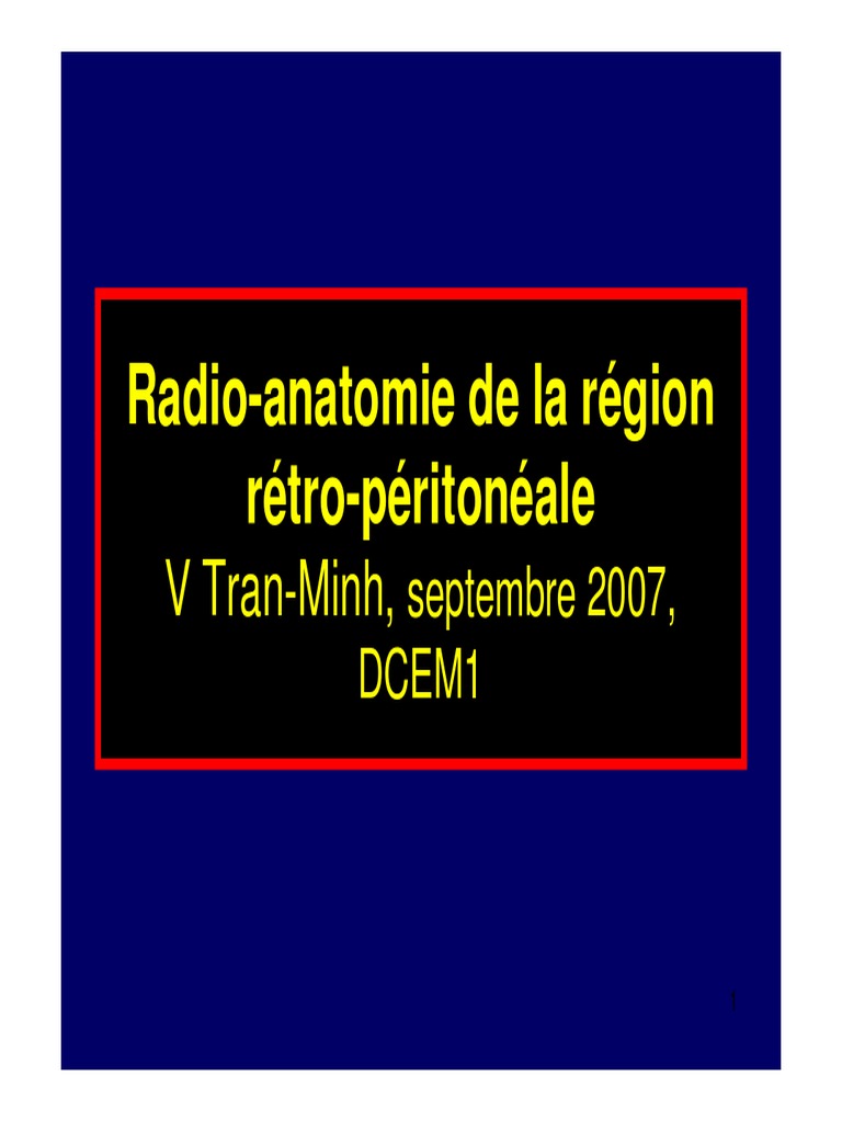 Anatomie de la région rétro-péritonéale | PDF | Appareil urinaire | Vessie