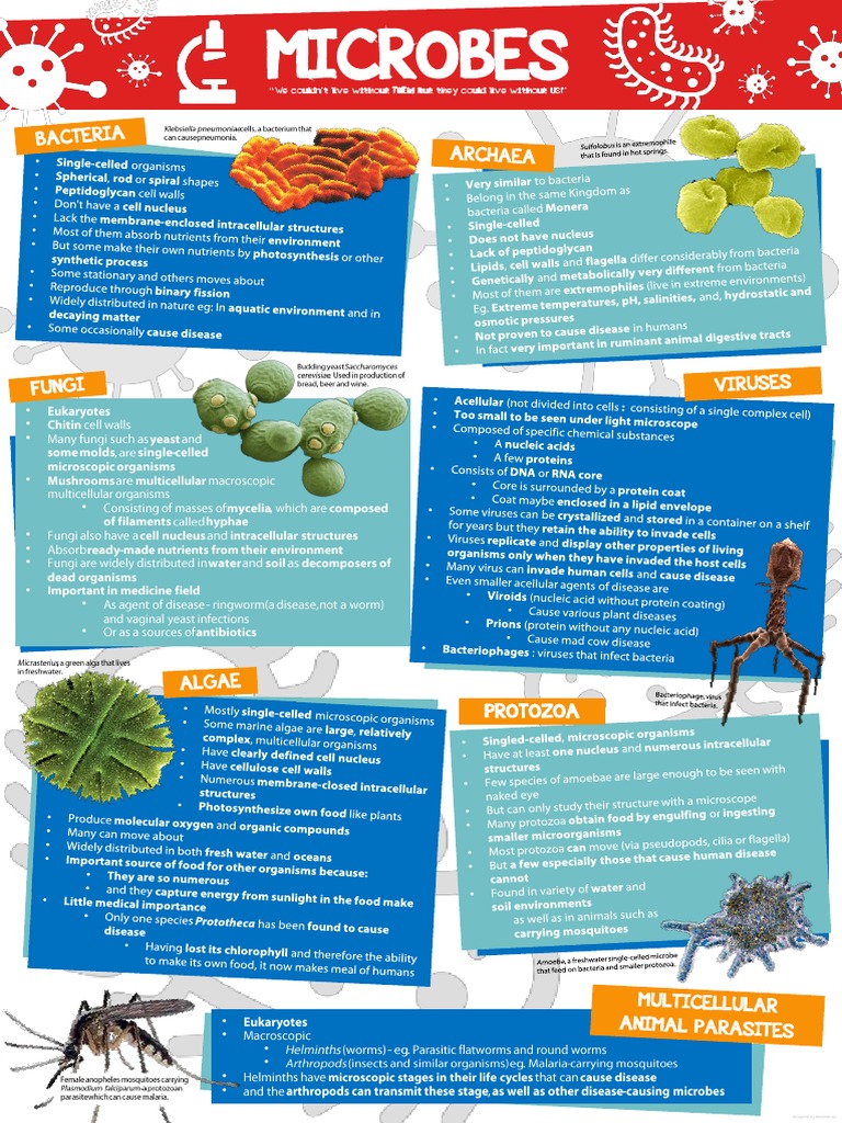 Microbes | PDF