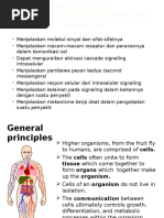 Mouse Parts | PDF | Organ (Anatomy) | Digestive System