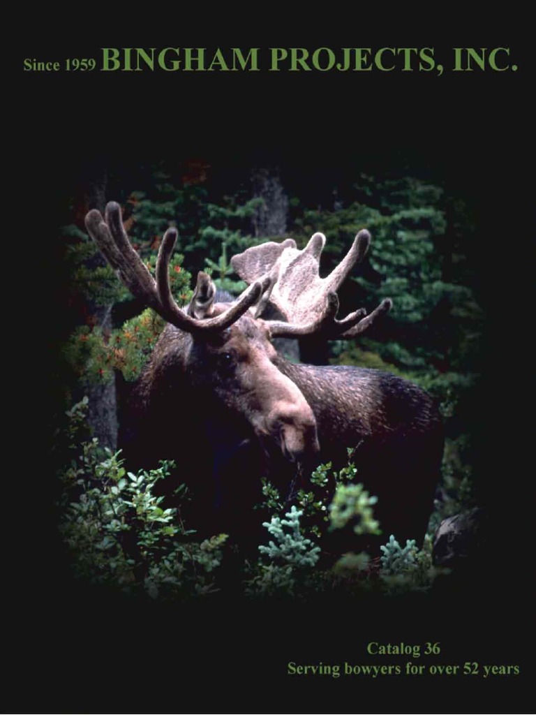 Bingham Projects Catalog 36 PDF | PDF | Arrow | Bow And Arrow