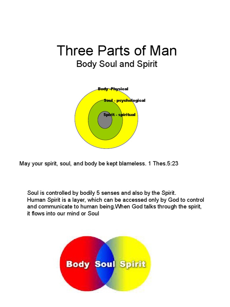 Human Architecture - Three Parts of Man | PDF | Philosophy