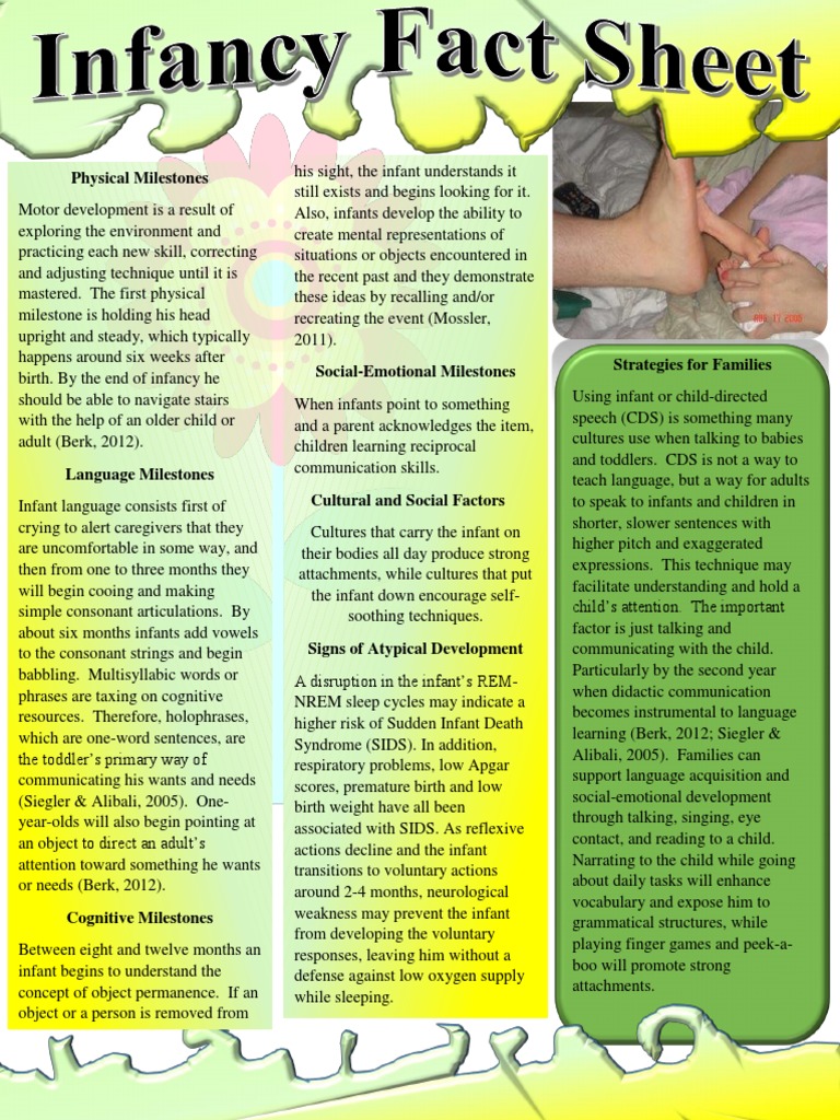 Infancy Fact Sheet 2 | PDF | Infants | Psychological Concepts