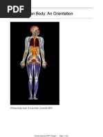 Persivate Cream: Uses and Ingredients | PDF | Topical Medication ...