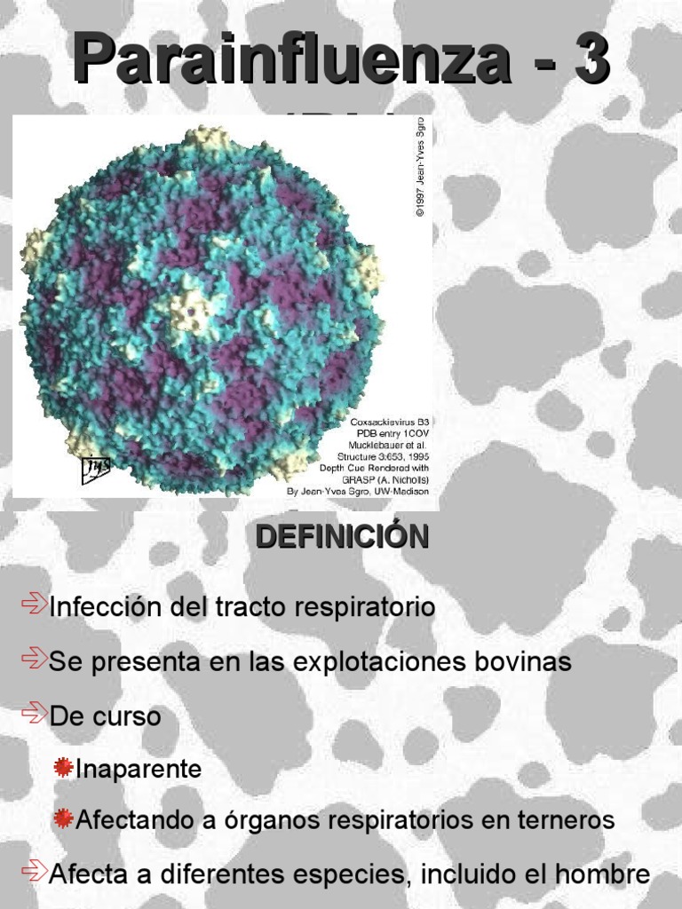 Parainfluenza - 3 (PI3) | Virus | Neumonía