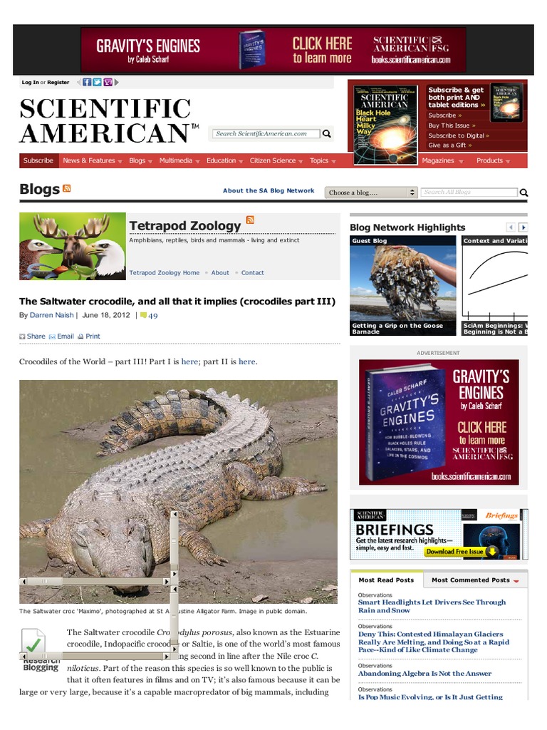 Saltwater Crocodile-Crocodiles Part III | PDF | Crocodile | Molecular ...