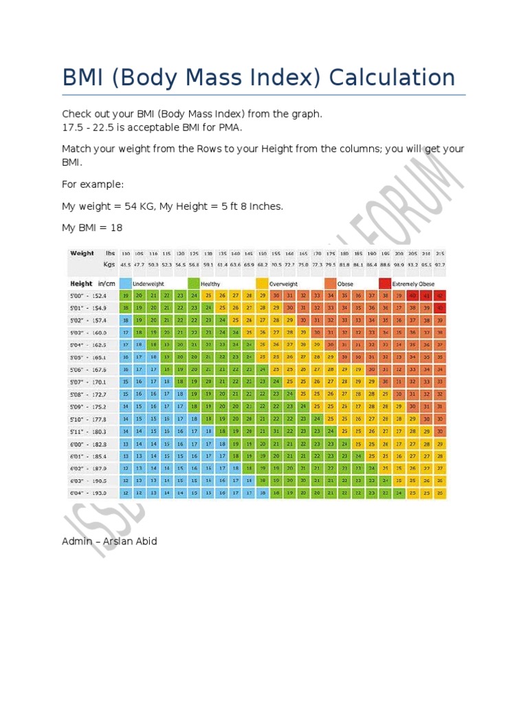 BMI (Body Mass Index) Calculation | PDF