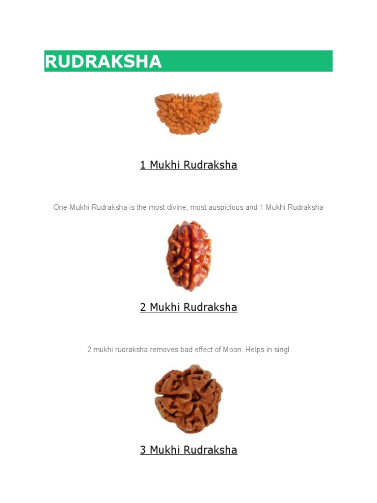 Rudraksha Benefits | PDF | Mantra | Meditation