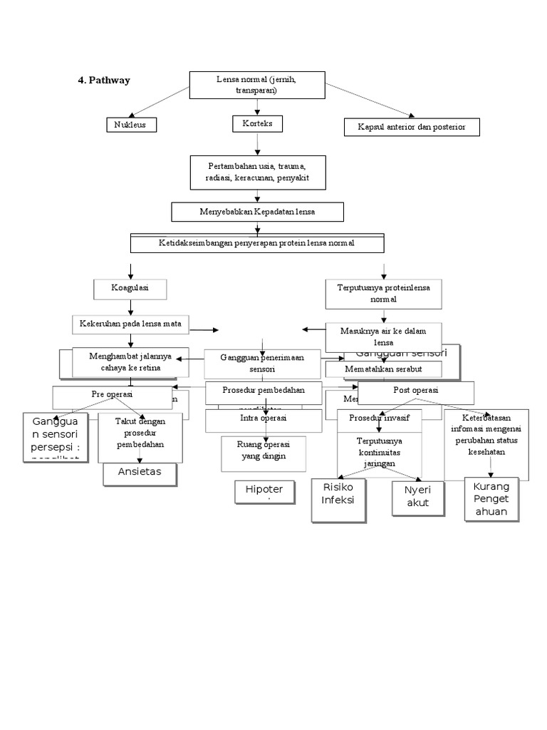 Pathway Katarak | PDF