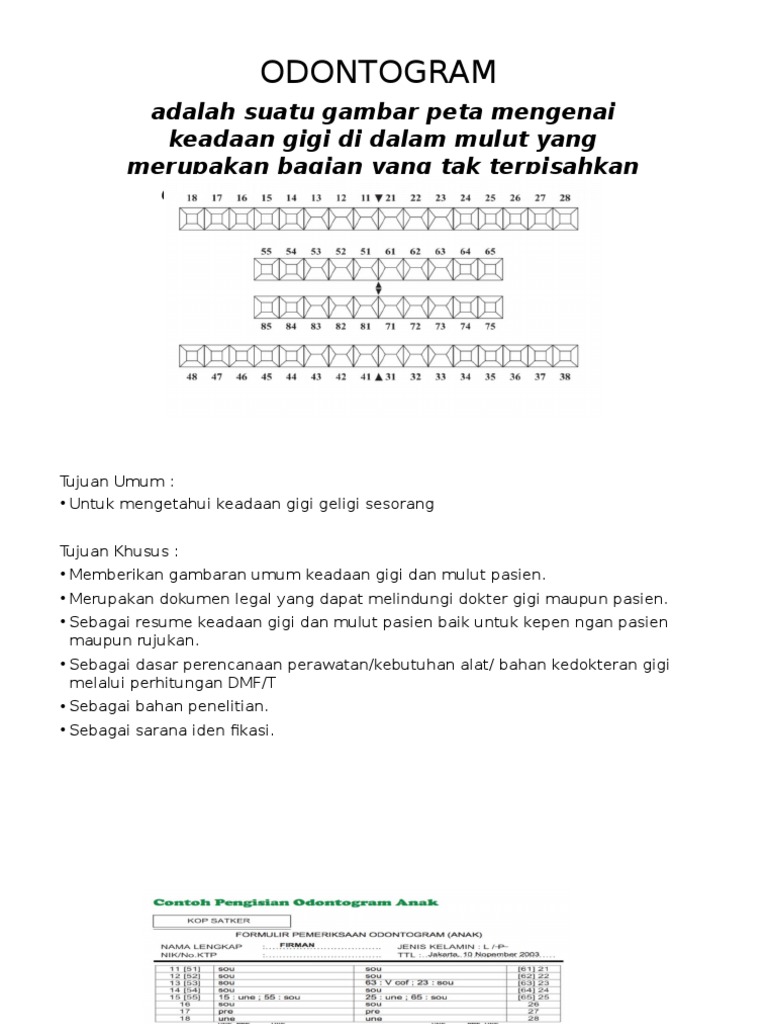 Odontogram | PDF