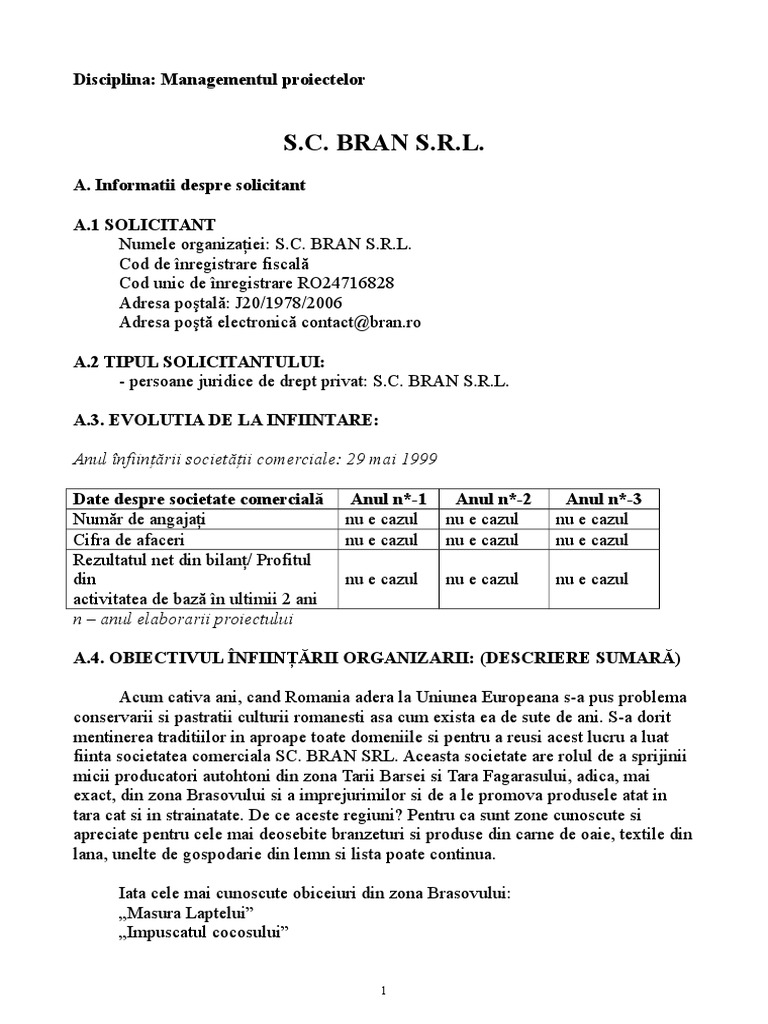 Managementul Proiectelor - Proiect | PDF