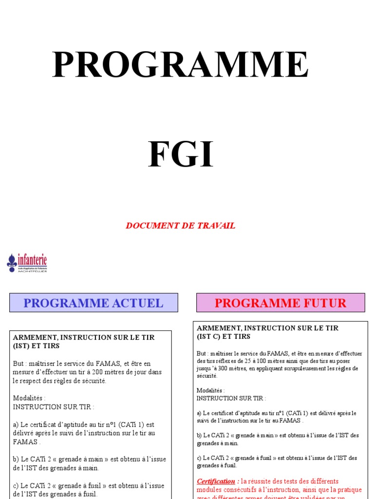 Programme FGI | PDF | Pistolet de service | Équipement militaire