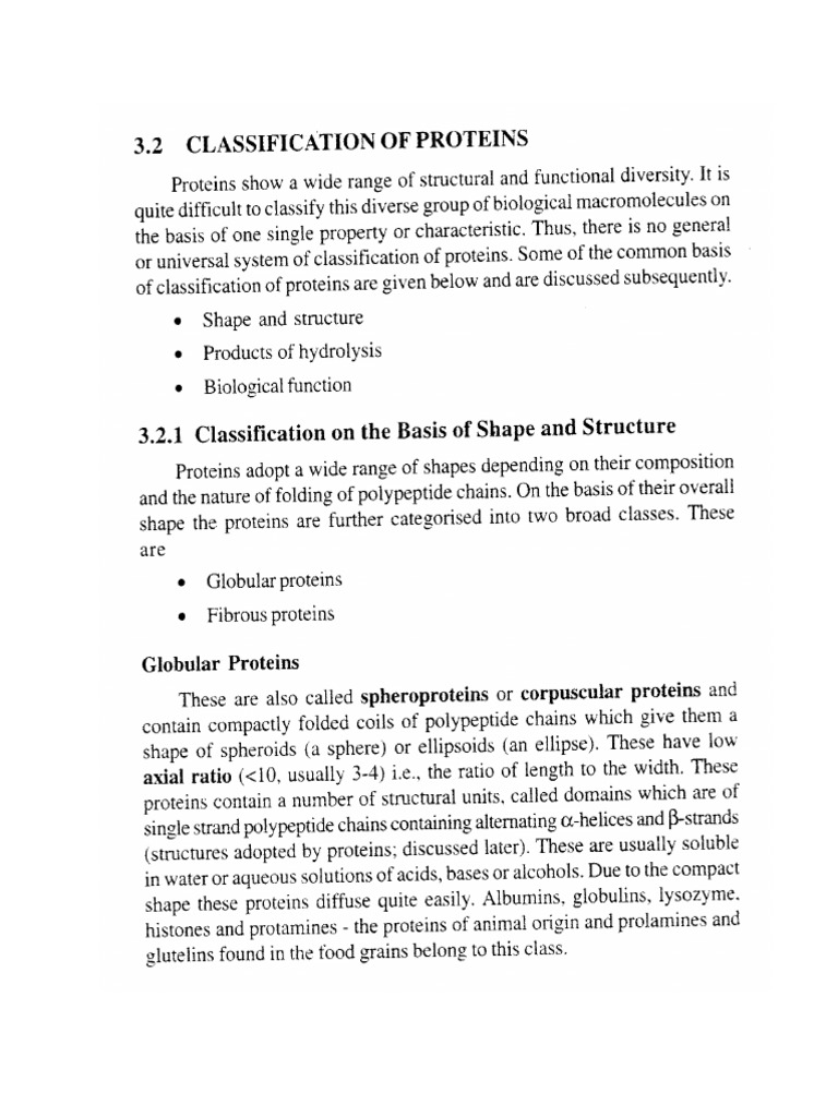 Protein Classification | PDF