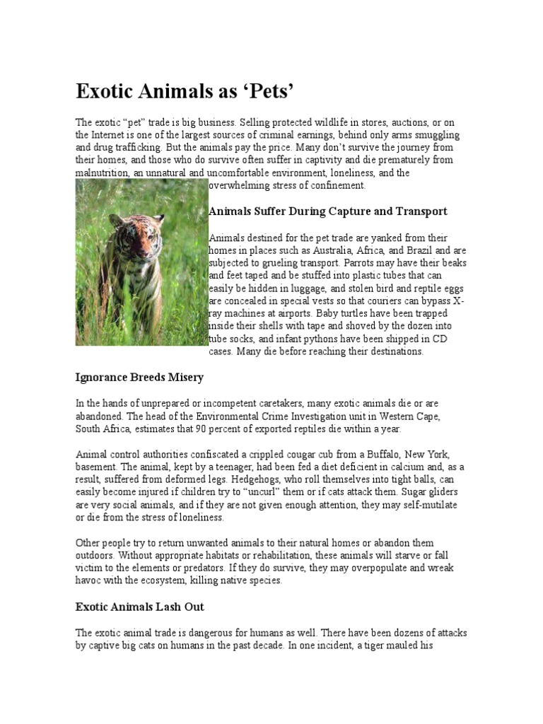 Exotic Animals As Pets | PDF | Pet | Animals And Humans