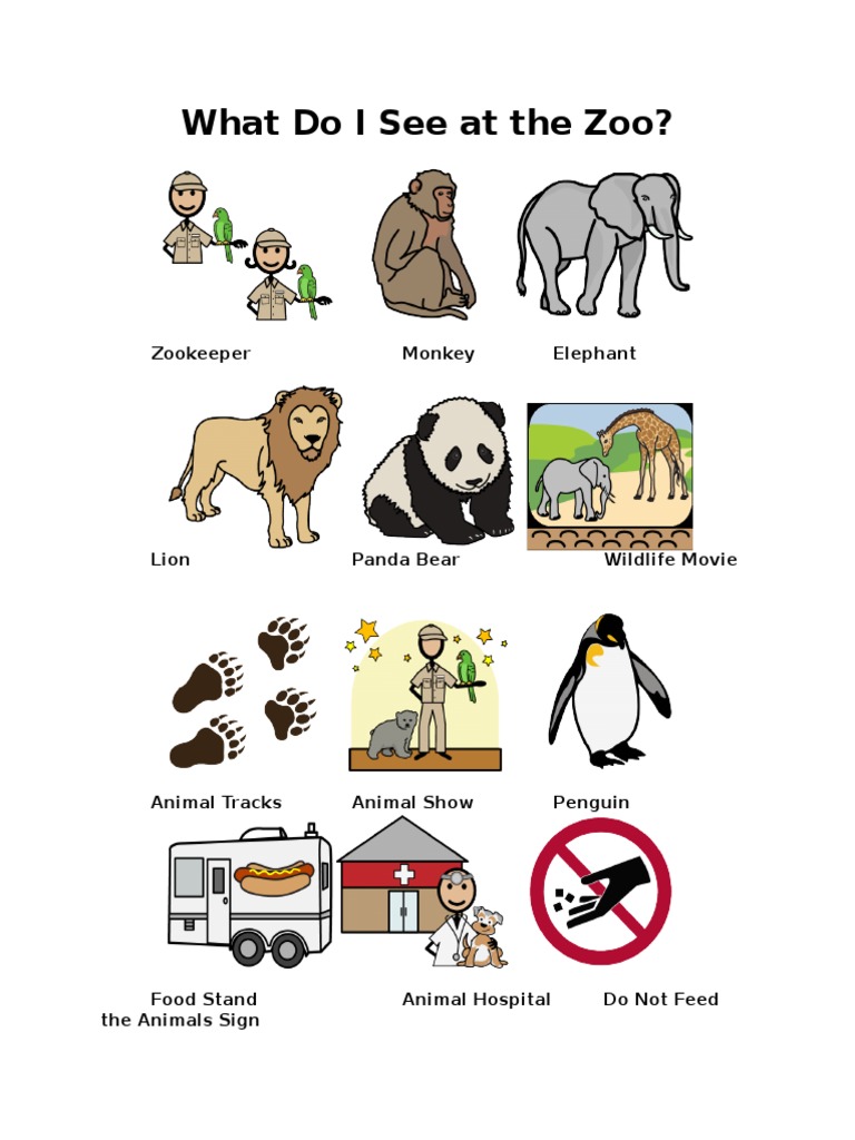 Zoo Animals and Attractions Guide | PDF