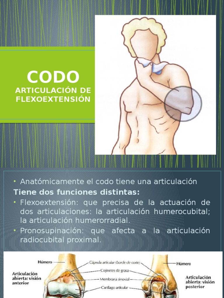 Codo TFM 43 | PDF | Codo | Ciencia de la danza