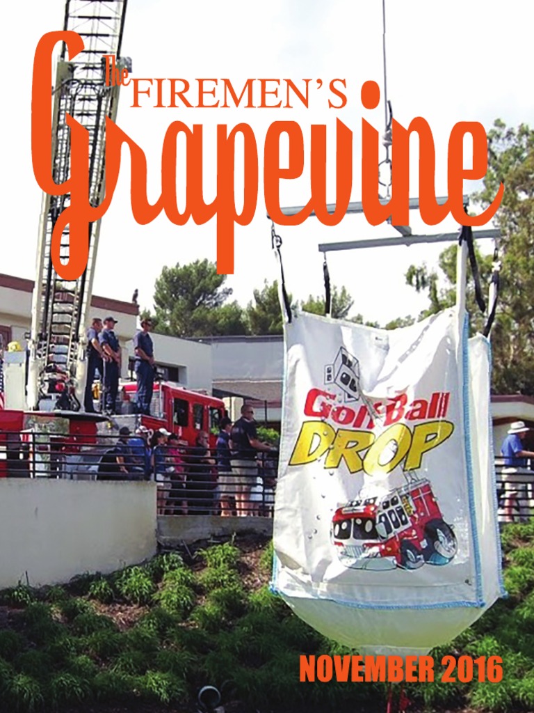 November 2016 | PDF | Firefighter | Financial Adviser