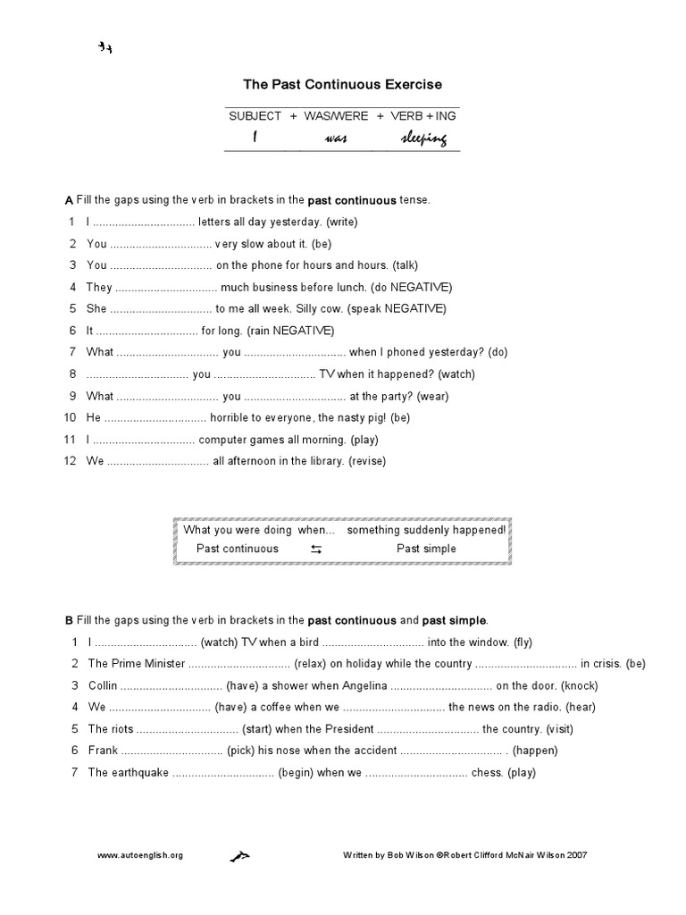 The Past Continuous Exercise | PDF | Language Arts & Discipline