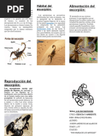 Guía de Escorpiones para Entomólogos | PDF
