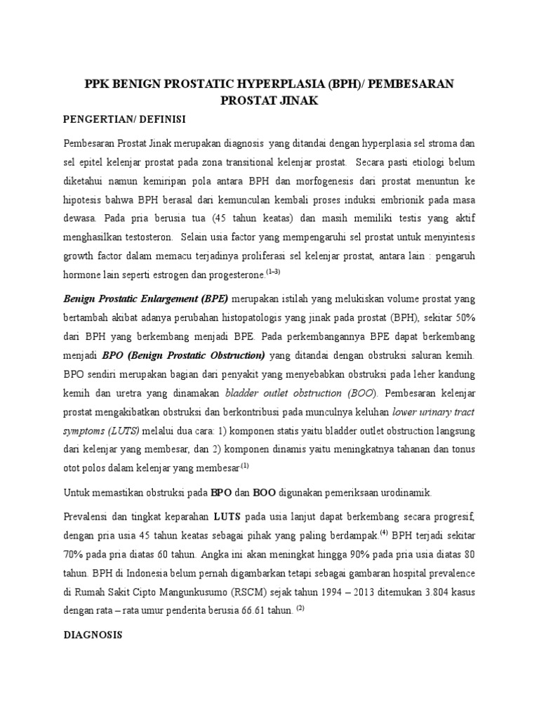 PPK BPH | PDF