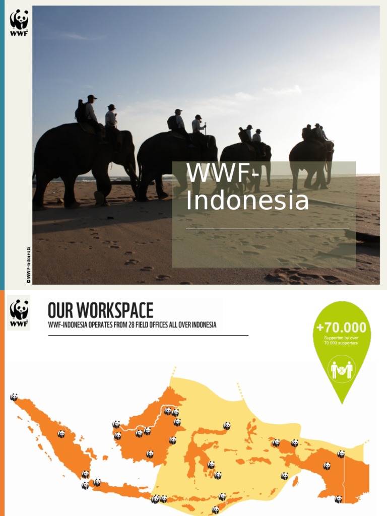 WWF-ID Program Highlight | PDF | Indonesia | Orangutan