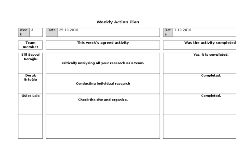Weekly-Action-Plan 3 | PDF