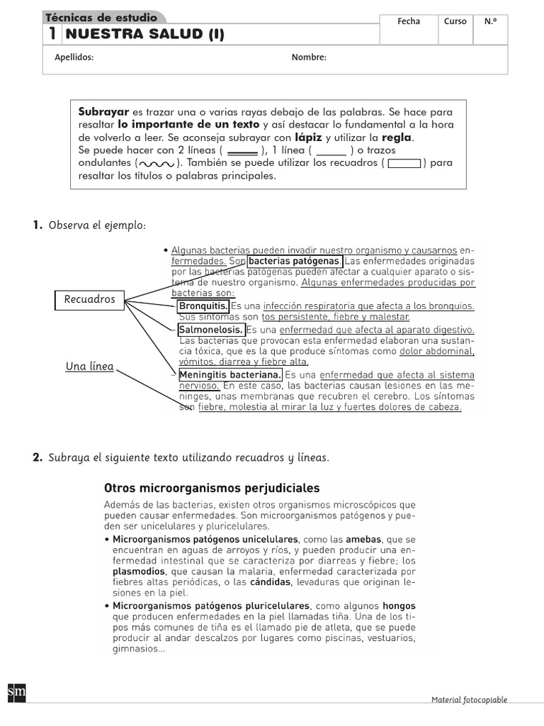 Técnicas de Estudio SM | PDF
