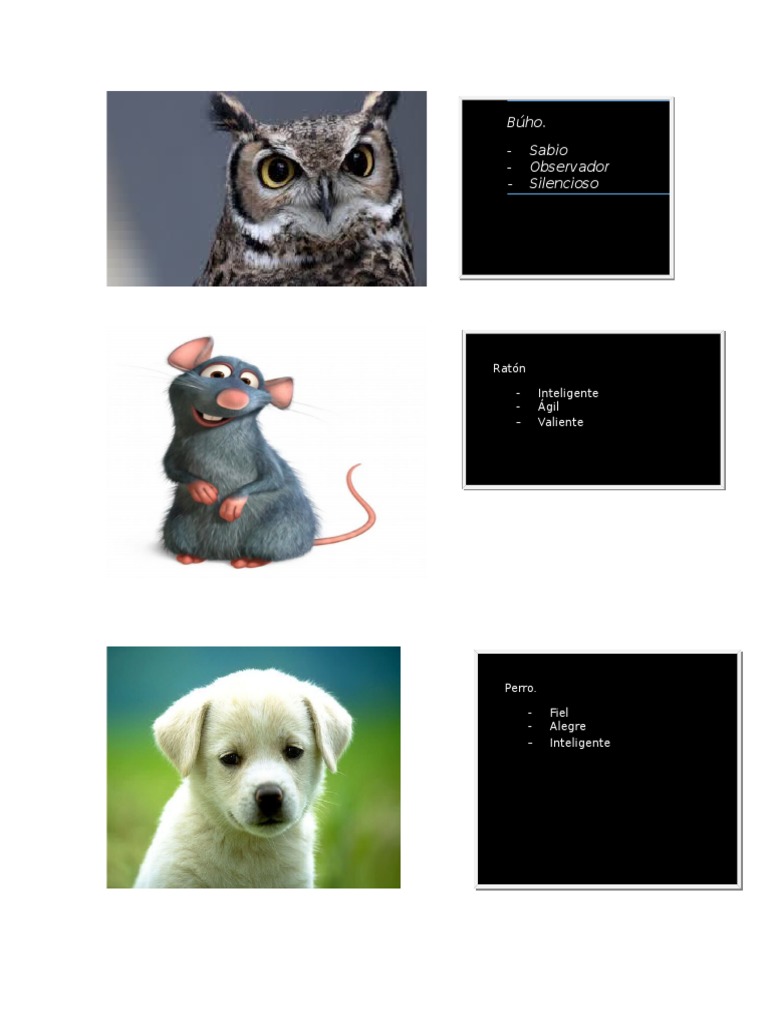 Búho. - Sabio - Observador Silencioso: Ratón - Inteligente - Ágil ...