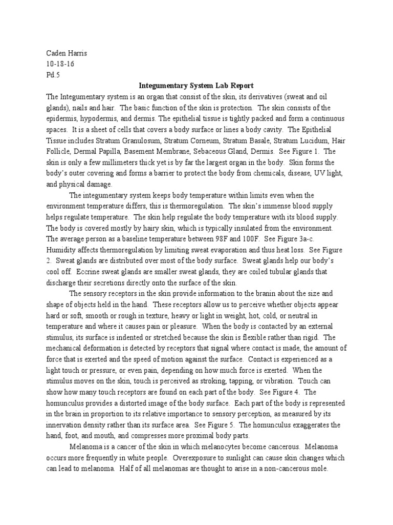 Integumentary System Lab Report | PDF | Skin | Integumentary System