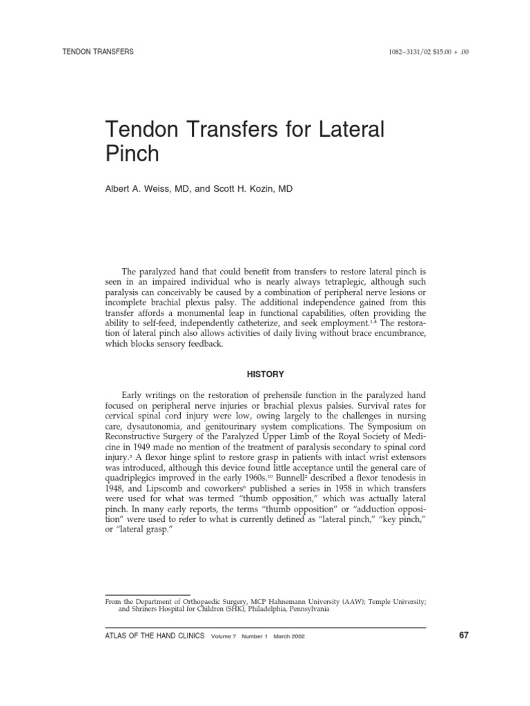 Tendon Transfers For Lateral Pinch: Albert A. Weiss, MD, and Scott H ...