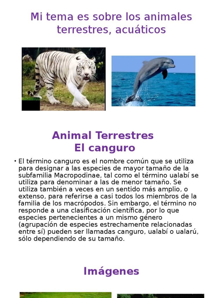 Mi Tema Es Sobre Los Animales Terrestre y Acuaticos | PDF | Taxonomía ...