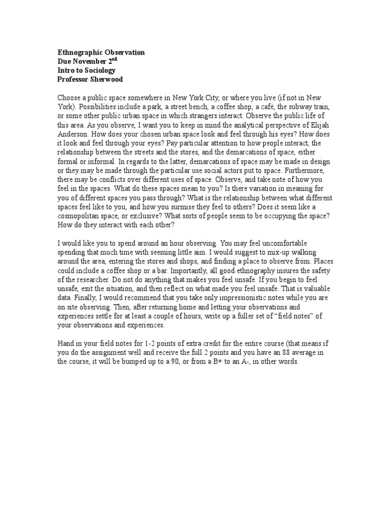 Ethnographic Observation | PDF