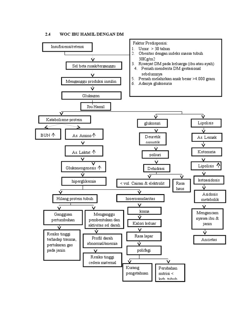 WOC Ibu Hamil dengan Diabetes Melitus | PDF | Kesehatan Holistik