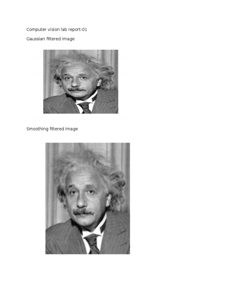 An Analysis of Common Image Filtering Techniques Applied in a Computer ...