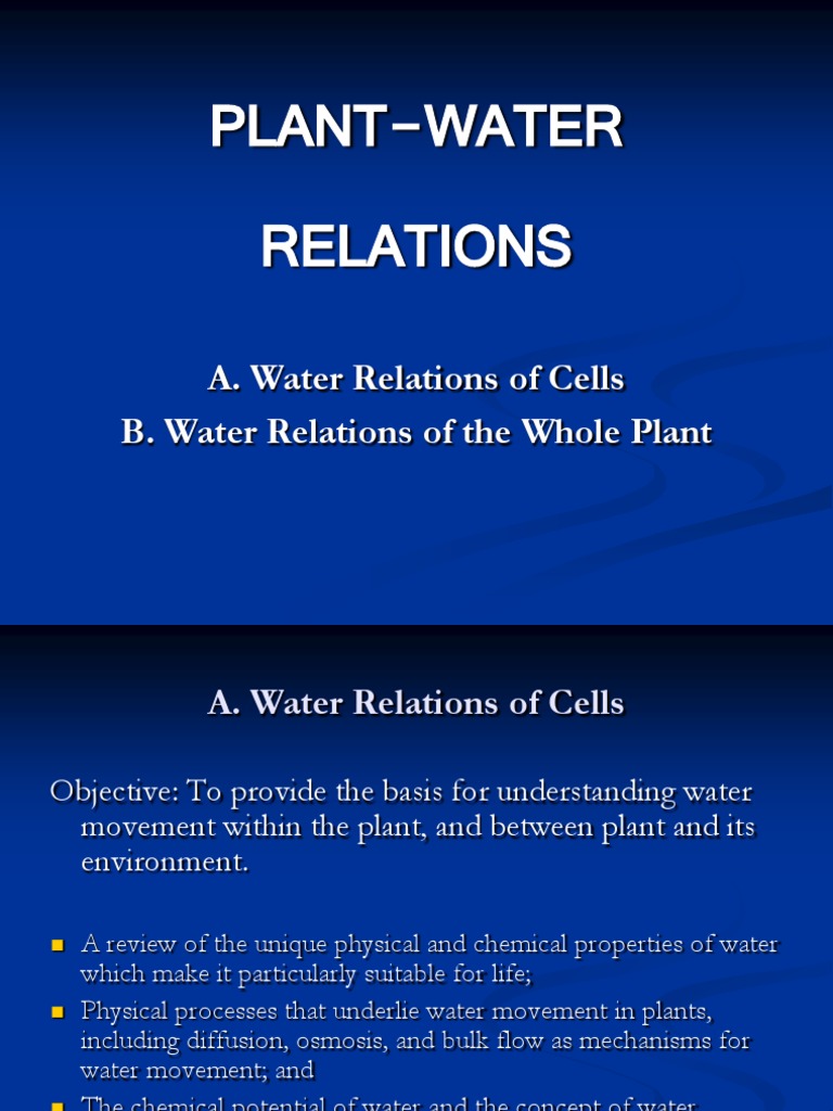 Plant Water Relations | PDF | Properties Of Water | Evaporation