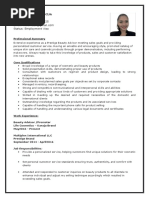 Mesopotamia Long Explanation Project | PDF | Mesopotamia | Euphrates