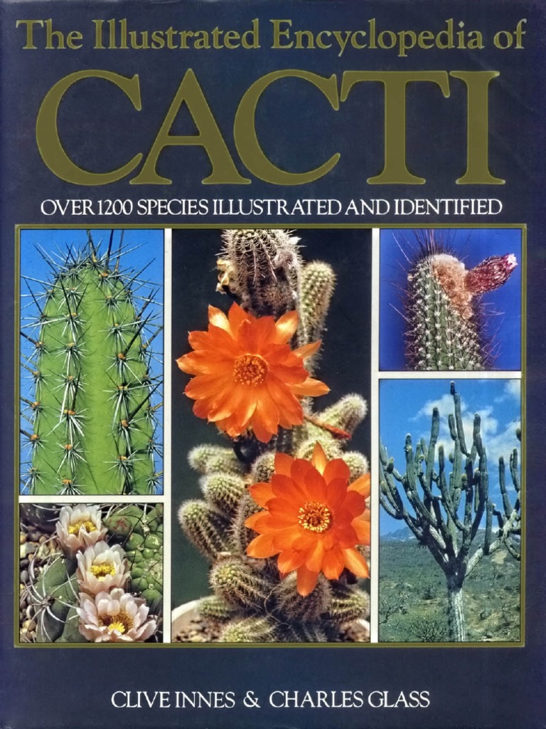 Innes Illustrated Encyclopedia Cacti | PDF