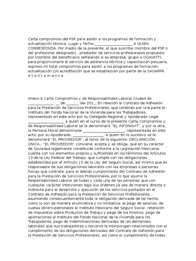 Carta Compromiso para Servicios Profesionales | PDF | Derecho laboral ...