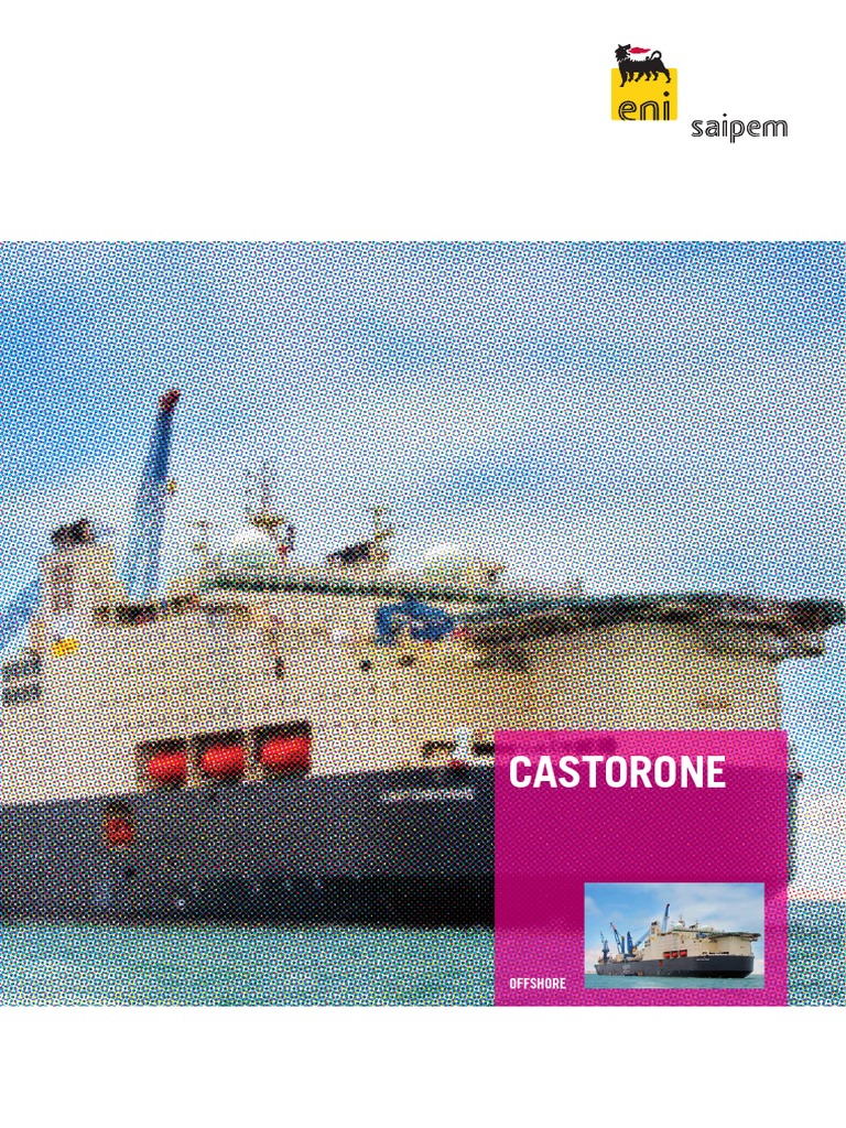 Castrone PDF | PDF | Crane (Machine) | Shipping