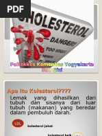 Leaflet Kolesterol Ok | PDF