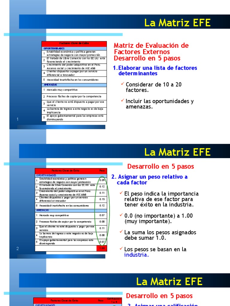 La Matriz EFE