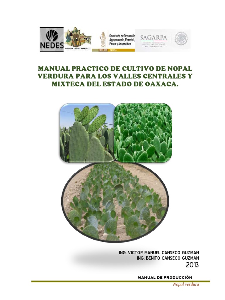 Manual Cultivo Nopal Verdura | Agricultura | Suelo